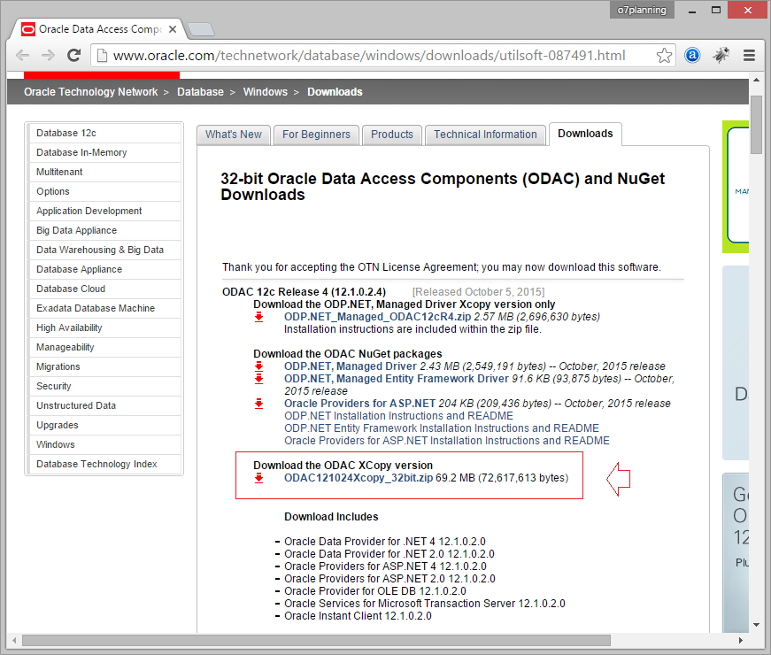 Подключиться к базе данных Oracle в C без Oracle Client